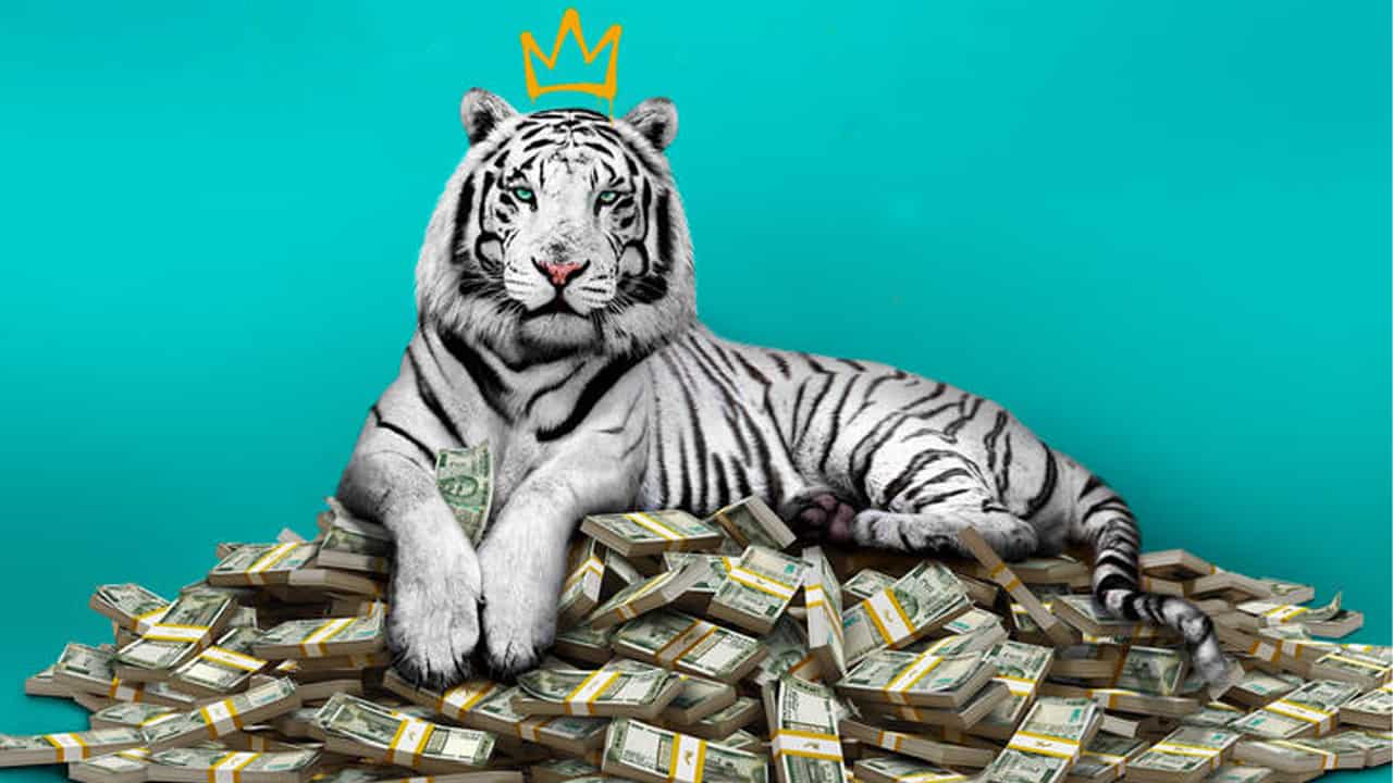 «The White Tiger» : Η ταινία που βρίσκεται στην κορυφή του Netflix | Το ...