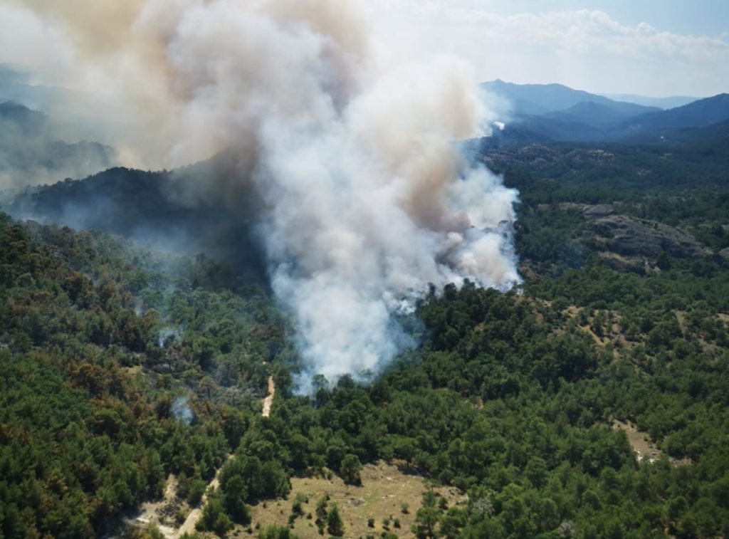 Εβρος: Αφησαν στην τύχη του το φράγμα που θα έσωζε την Δαδιά | Το Κουτί ...