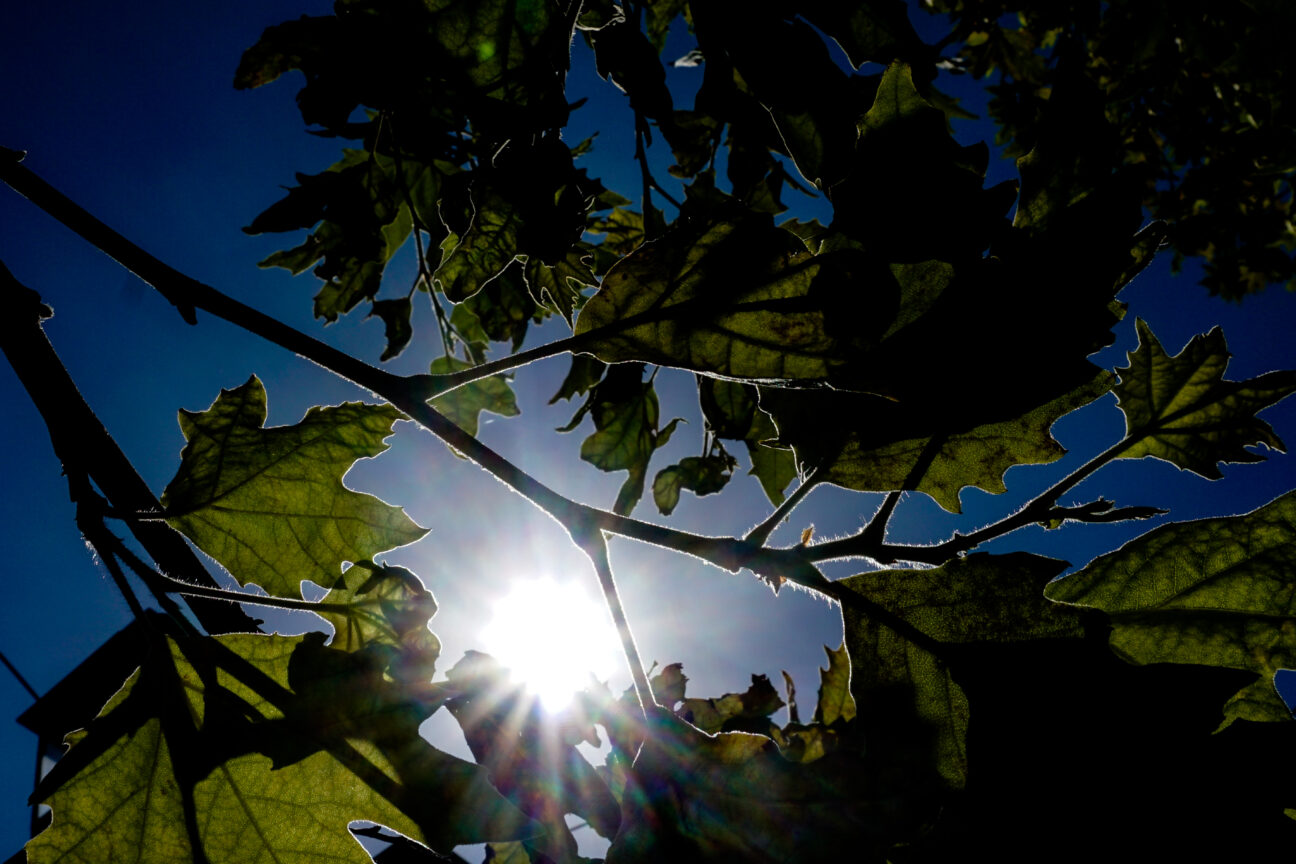 Ασυνήθιστο φαινόμενο: 5 μήνες βαρυχειμωνιά στη Σκανδιναβία, όταν Ελλάδα ...
