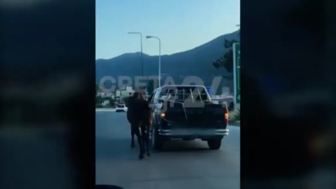 Hράκλειο: Οδηγός έδεσε άλογο με σχοινί και το έσερνε με αγροτικό (video ...