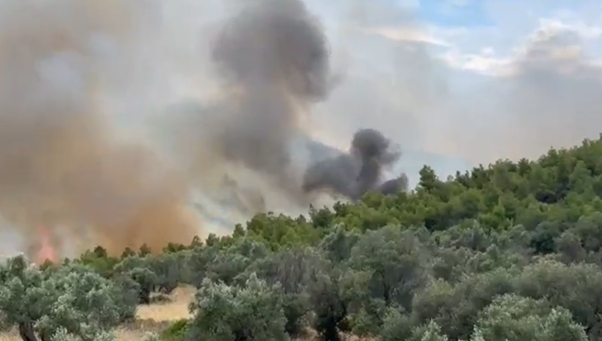 Φωτιά στον Σχίνο Λουτρακίου: 25 πυροσβέστες και ελικόπτερο στη «μάχη ...